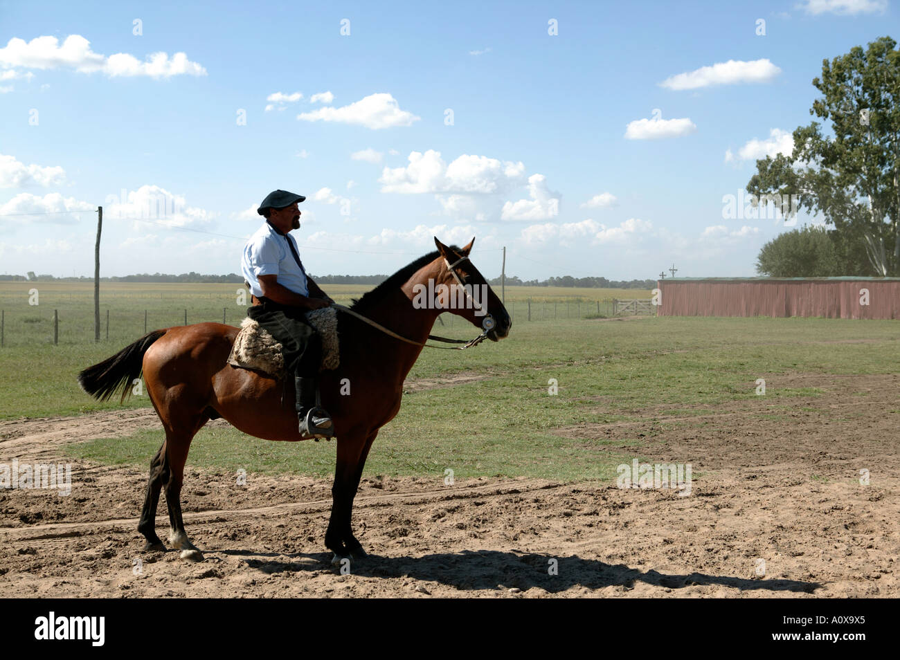 South America Argentina Buenos Aires Province La Pampa Estancia ...
