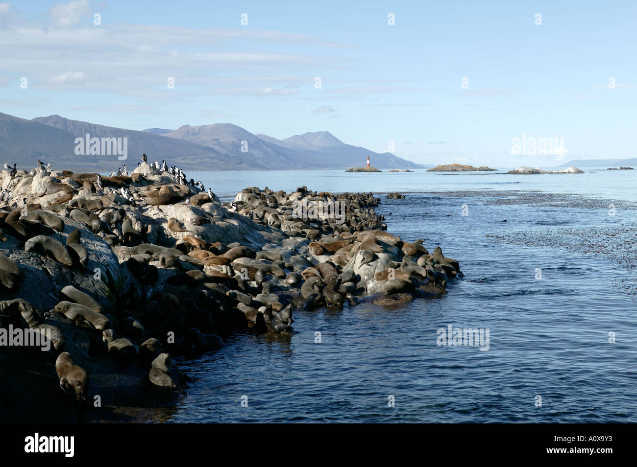 patagonia, ushuaia. beagle channel Stock Photo - Alamy
