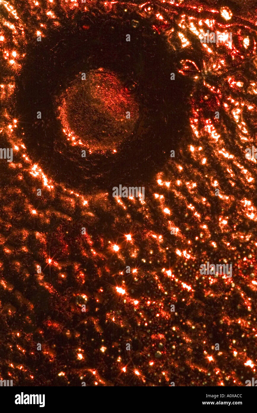 Granular mass hi-res stock photography and images - Alamy