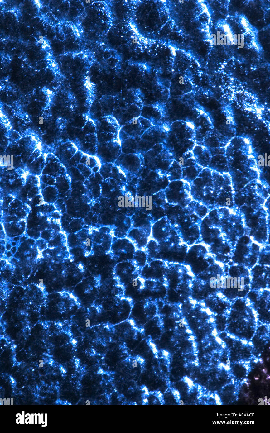 Granular mass hi-res stock photography and images - Alamy