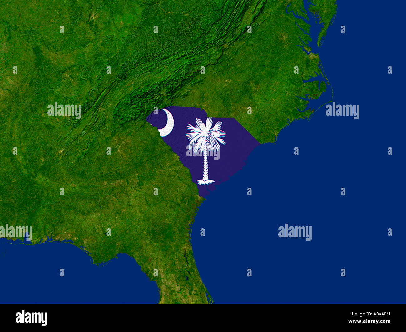 Satellite Image of the State Of South Carolina USA covered by the State ...