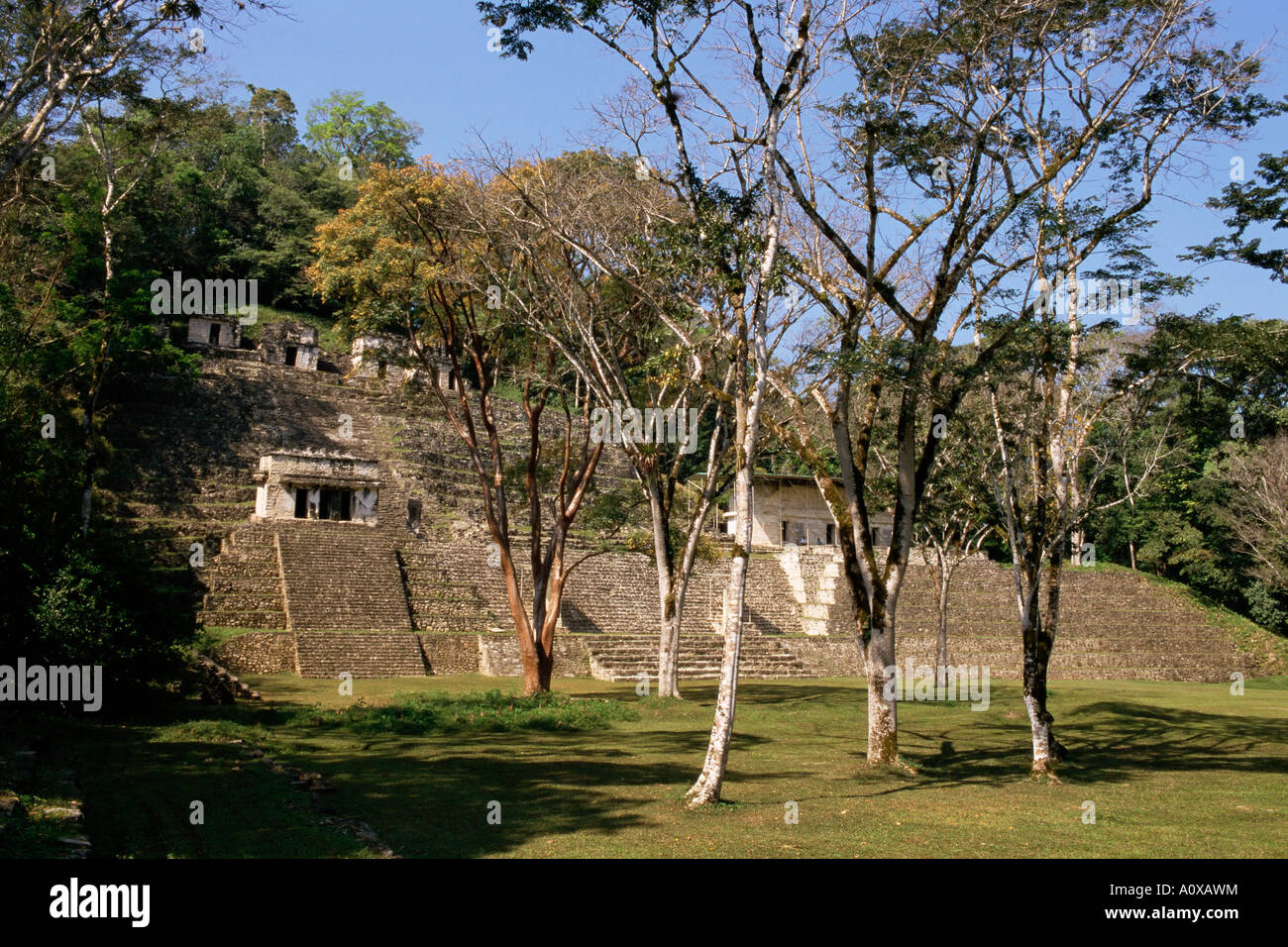Bonampak mayan archaeological site hi-res stock photography and images ...