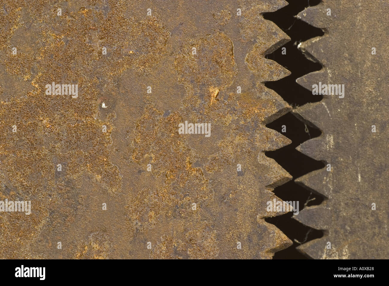 Saw grooves hi-res stock photography and images - Alamy