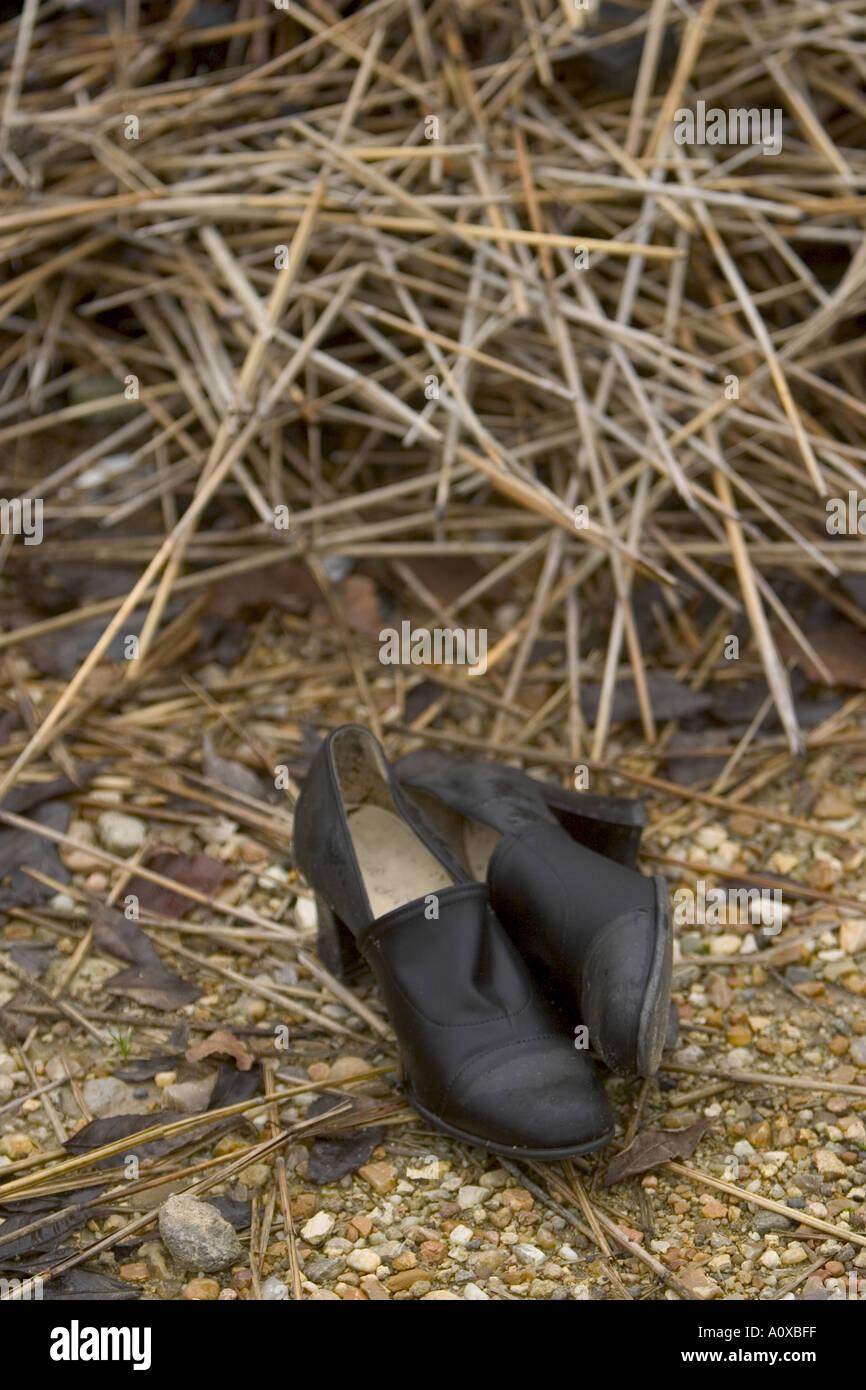 Hay strands hi-res stock photography and images - Alamy