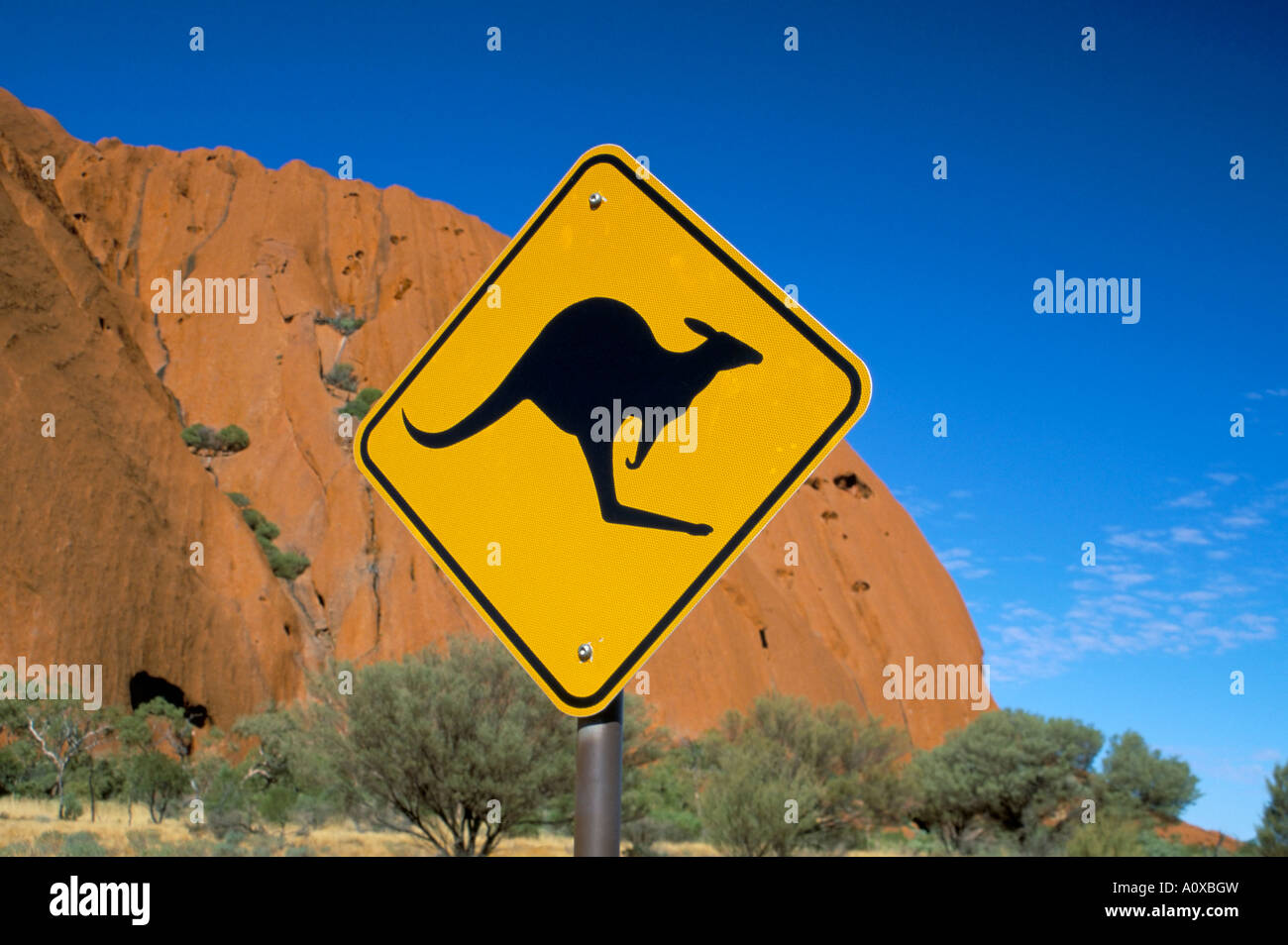 Kangaroo road sign at Uluru Ayers Rock Uluru Kata Tjuta National Park ...