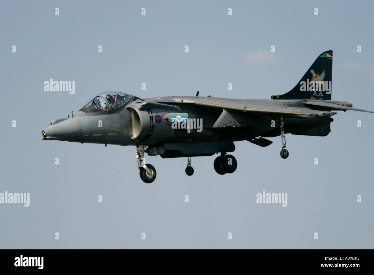 RAF Harrier GR7 hovering with undercarriage down at RIAT 2005 RAF ...