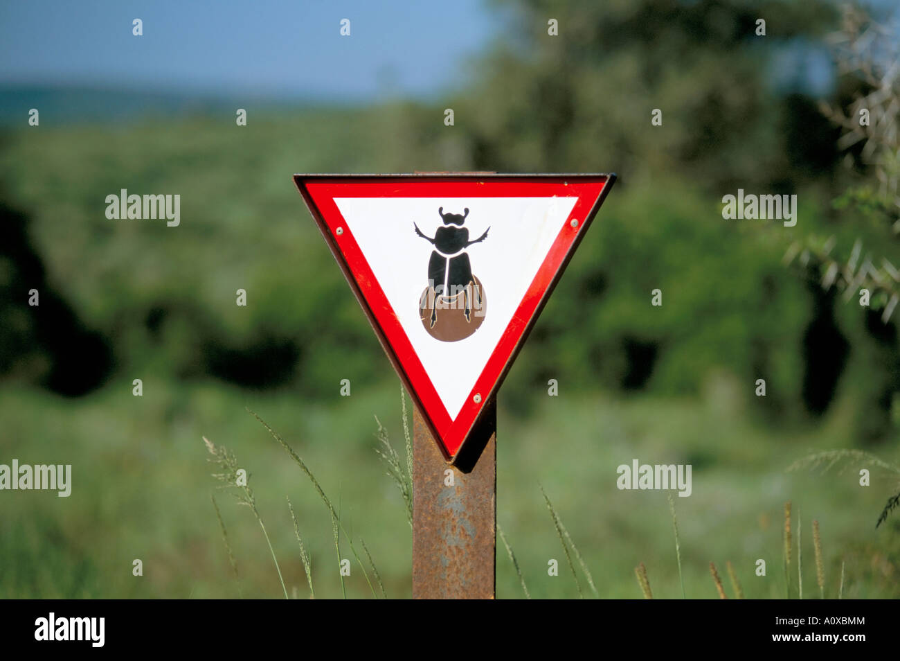 Dung beetle road sign to discourage dung beetle roadkills Addo National ...