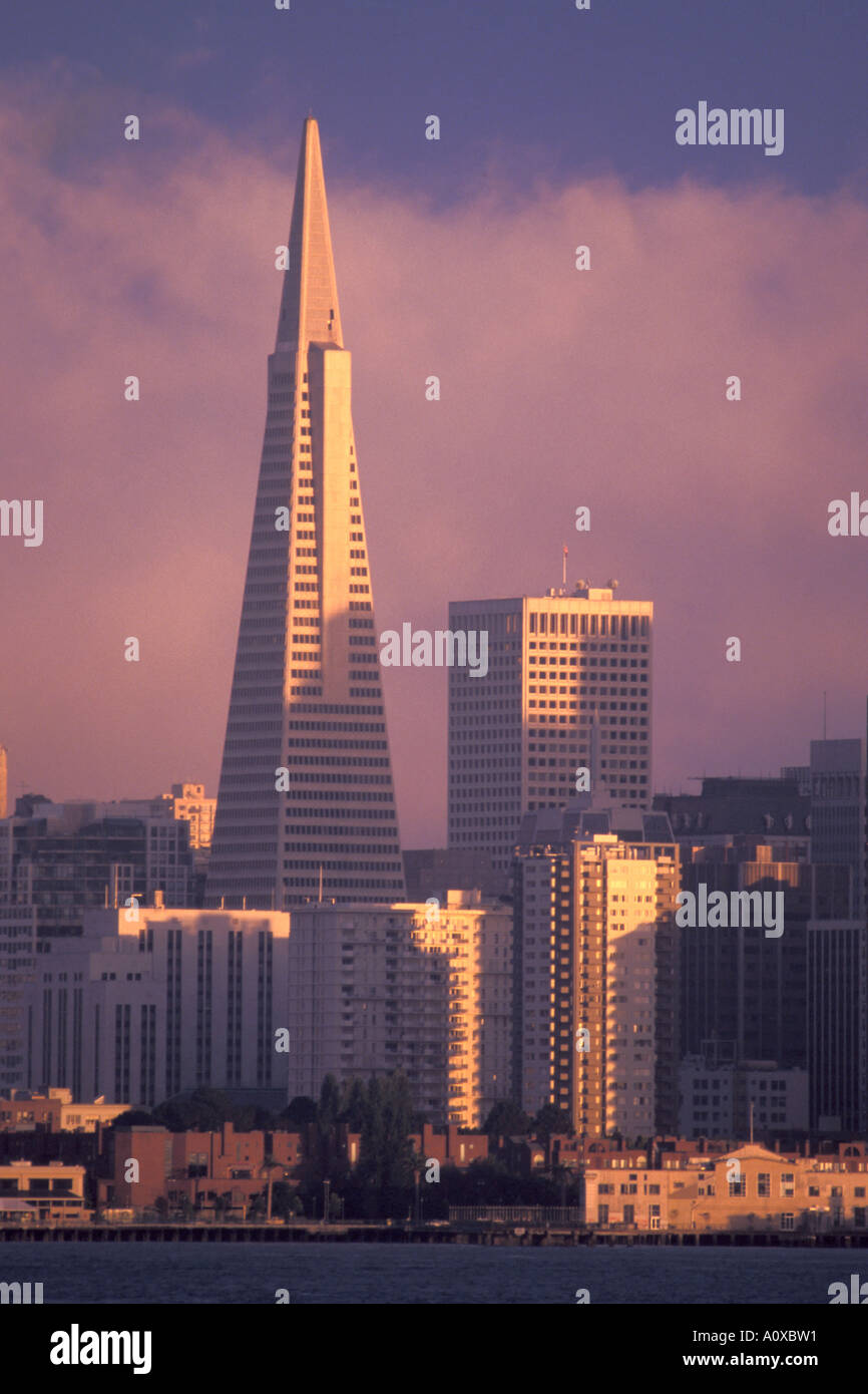 Transamerica Pyramid building and San Francisco skyline in California ...