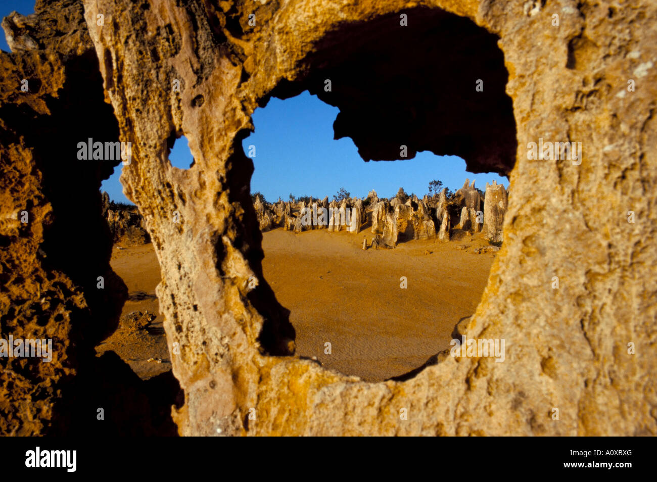 Pinnacles desert limestone pillars Nambung National Park Western ...