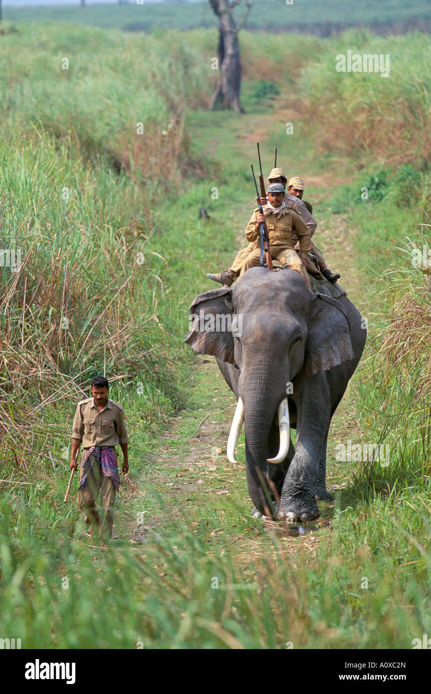 Indian game warden on patrol hi-res stock photography and images - Alamy