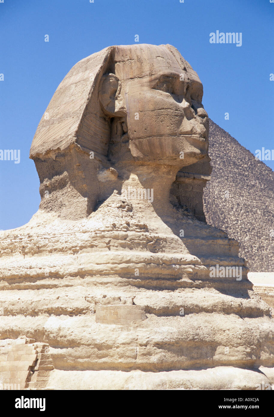 Sphinx, Giza, Cairo, Egypt Stock Photo - Alamy