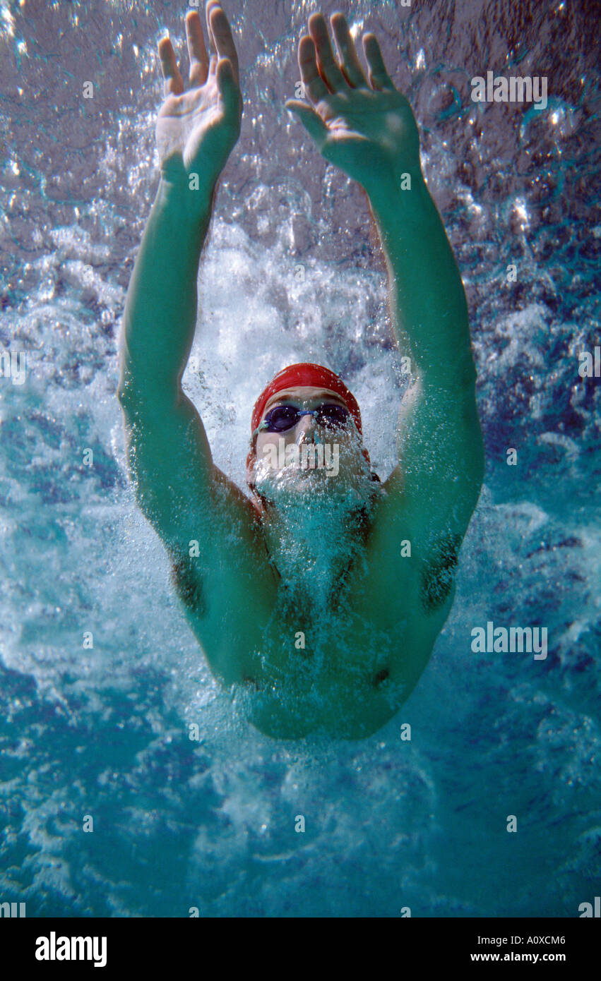 man dive into the swimming pool Stock Photo - Alamy