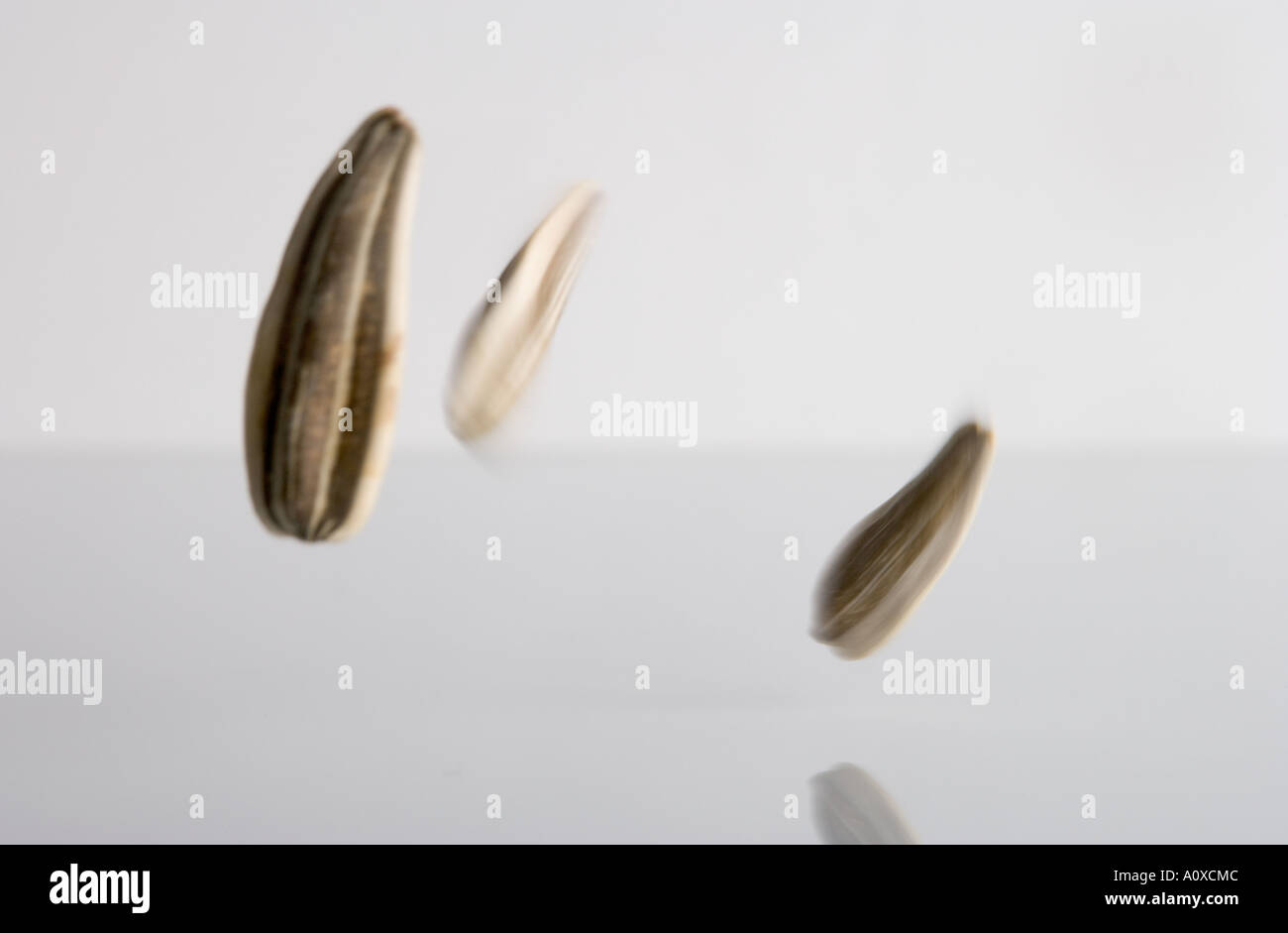 Dropping seeds hi-res stock photography and images - Alamy