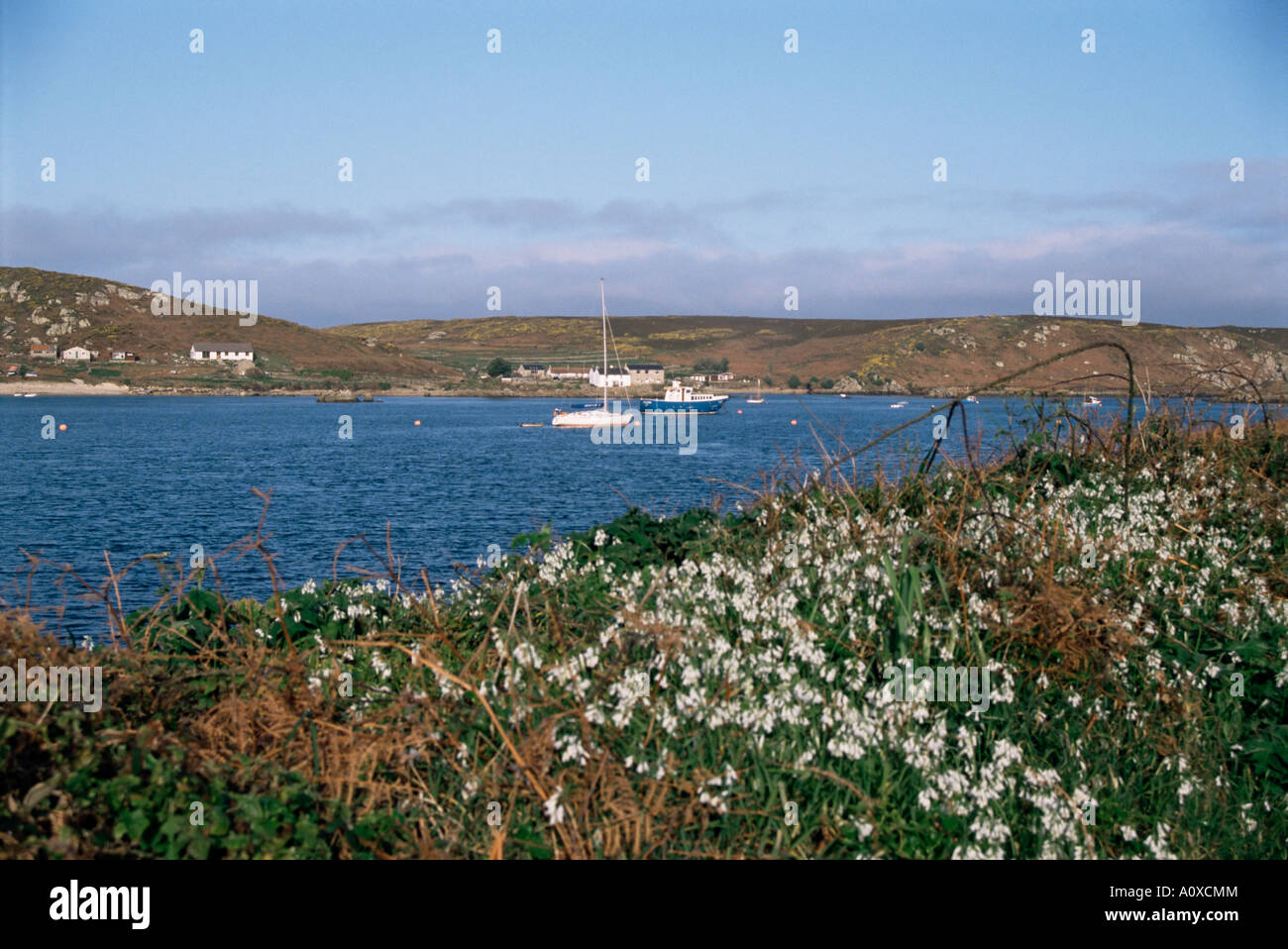 Bryher Isle of Scilly United Kingdom Europe Stock Photo - Alamy