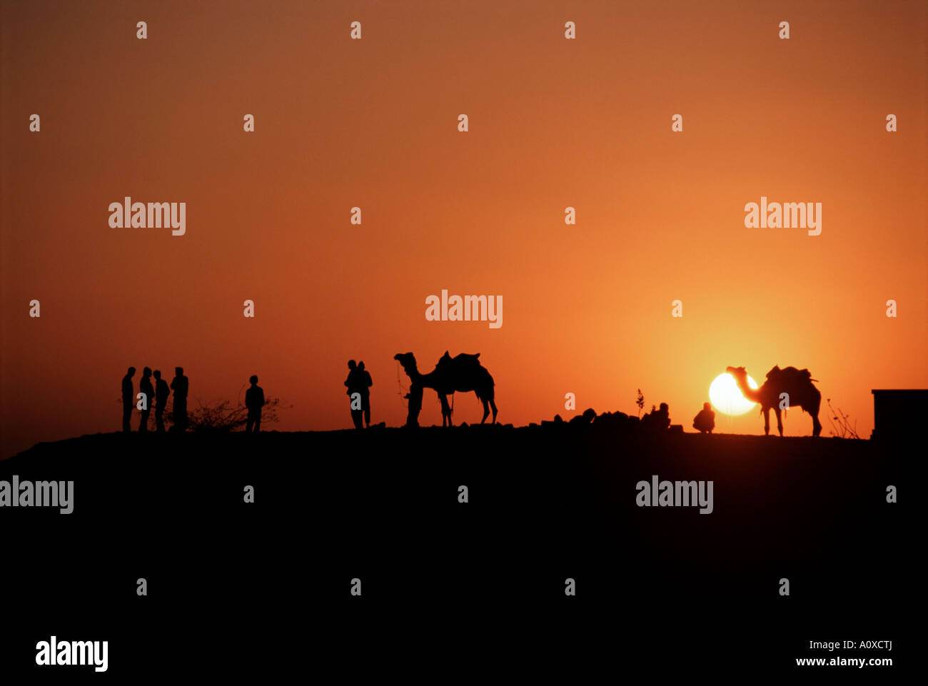 The Sam Sand Dunes at dusk near Jaisalmer Rajasthan state India Asia ...
