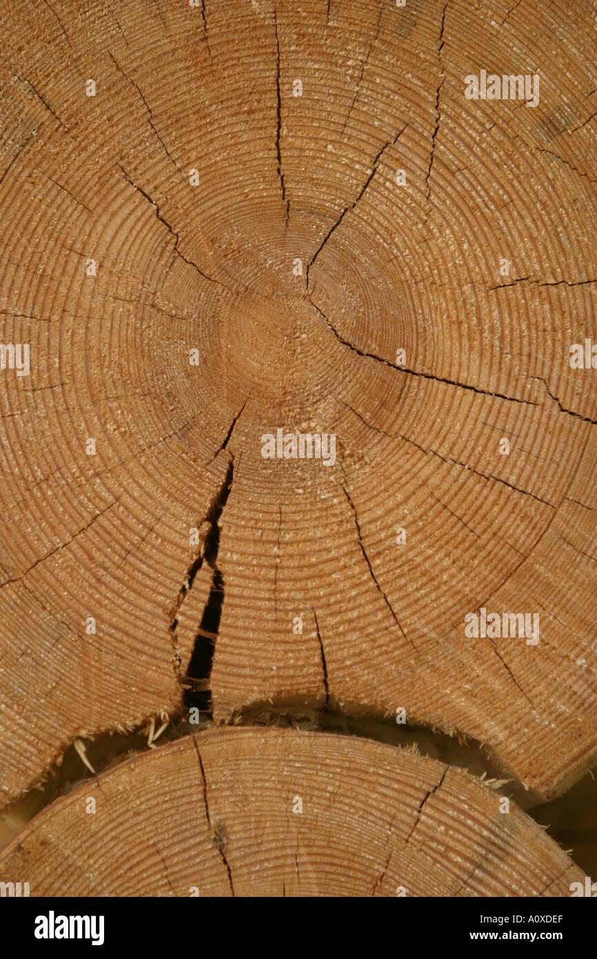 Log posts and beams hi-res stock photography and images - Alamy