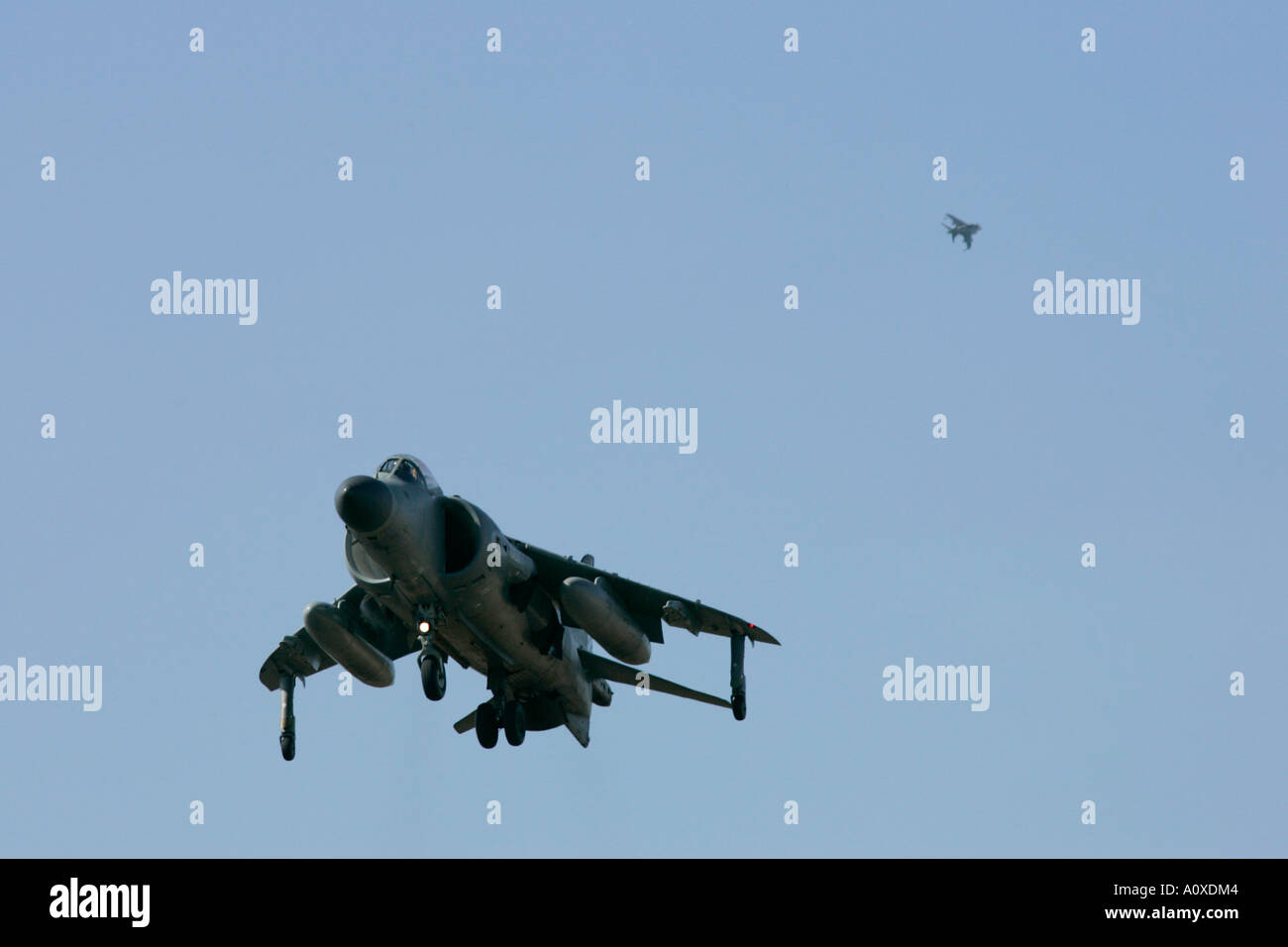 Royal Navy Sea Harrier FA2 T8 hovers with undercarriage down 2nd ...