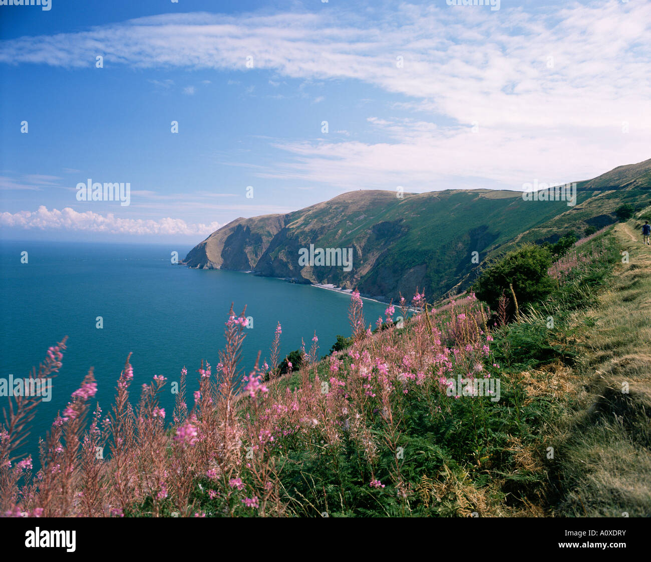 Peninsulcoast hi-res stock photography and images - Alamy