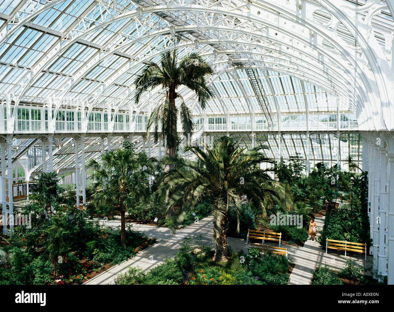 Interior of the Temperate House restored in 1982 Kew Gardens UNESCO ...