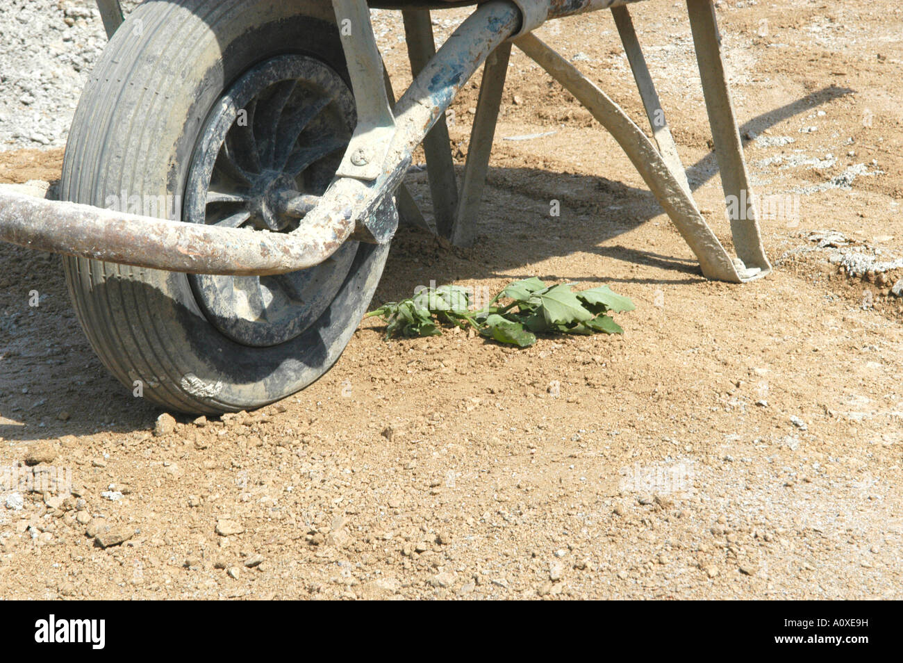 Construction cart wheel stepping on a plant Photo by Nano Calvo Stock ...