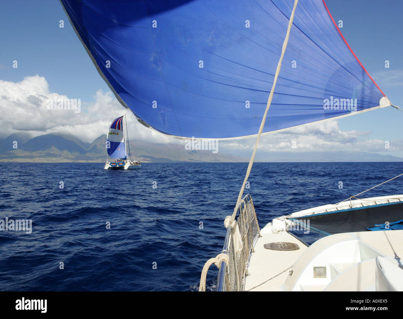 Sailing off the coast of Maui, Hawaii Stock Photo - Alamy