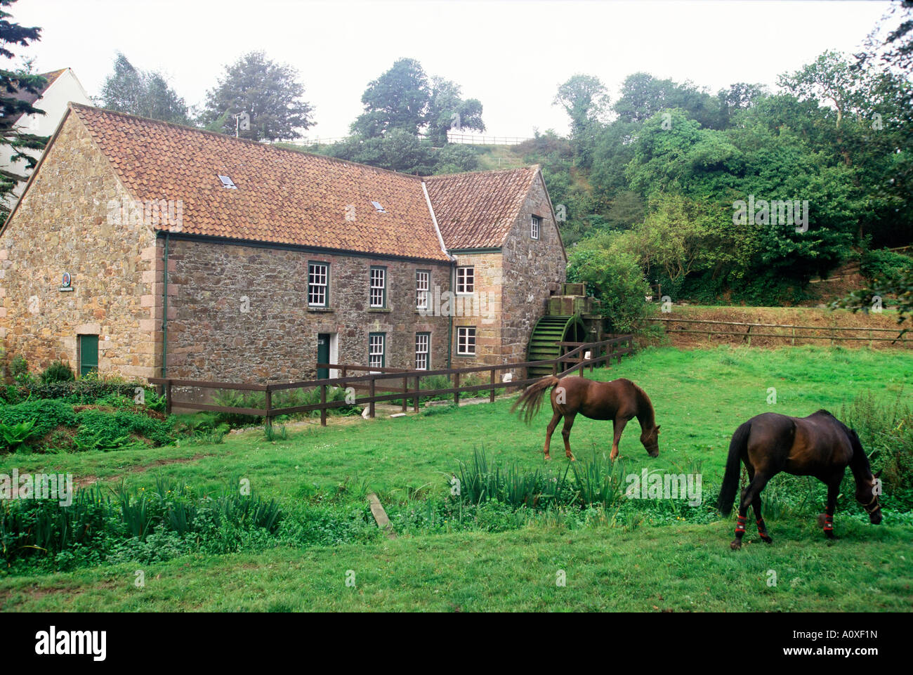Water mill Jersey Channel Islands United Kingdom Europe Stock Photo - Alamy
