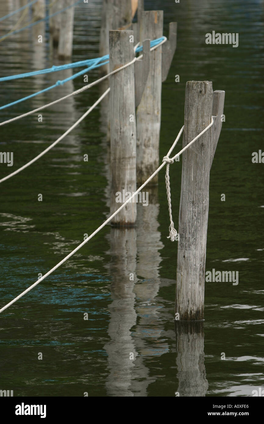 Wood logs tied rope hi-res stock photography and images - Alamy