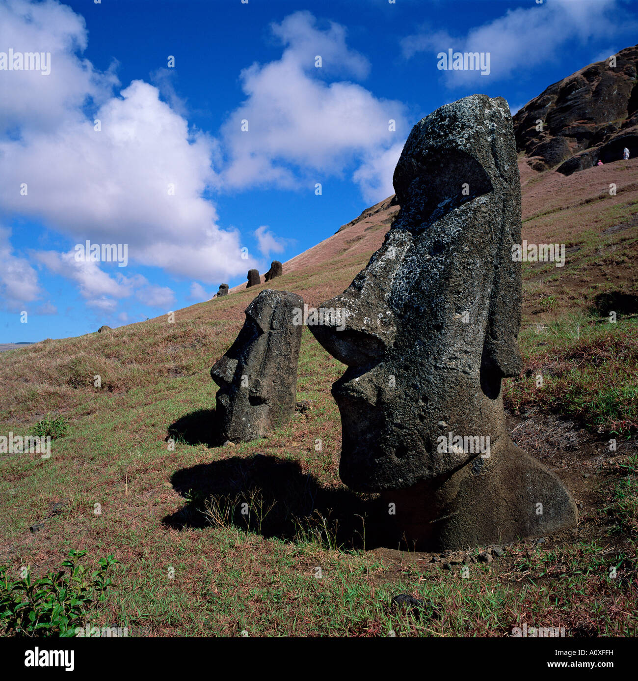 Rano Raraku volcanic crater from which numerous moai statues were ...