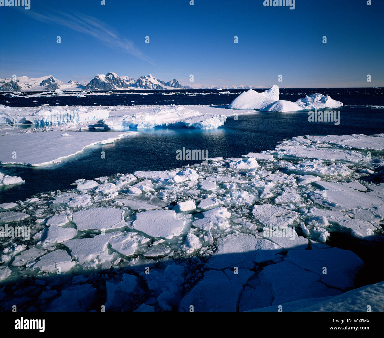 Coastal scenery Antarctic Peninsula Antarctica Polar Regions Stock ...