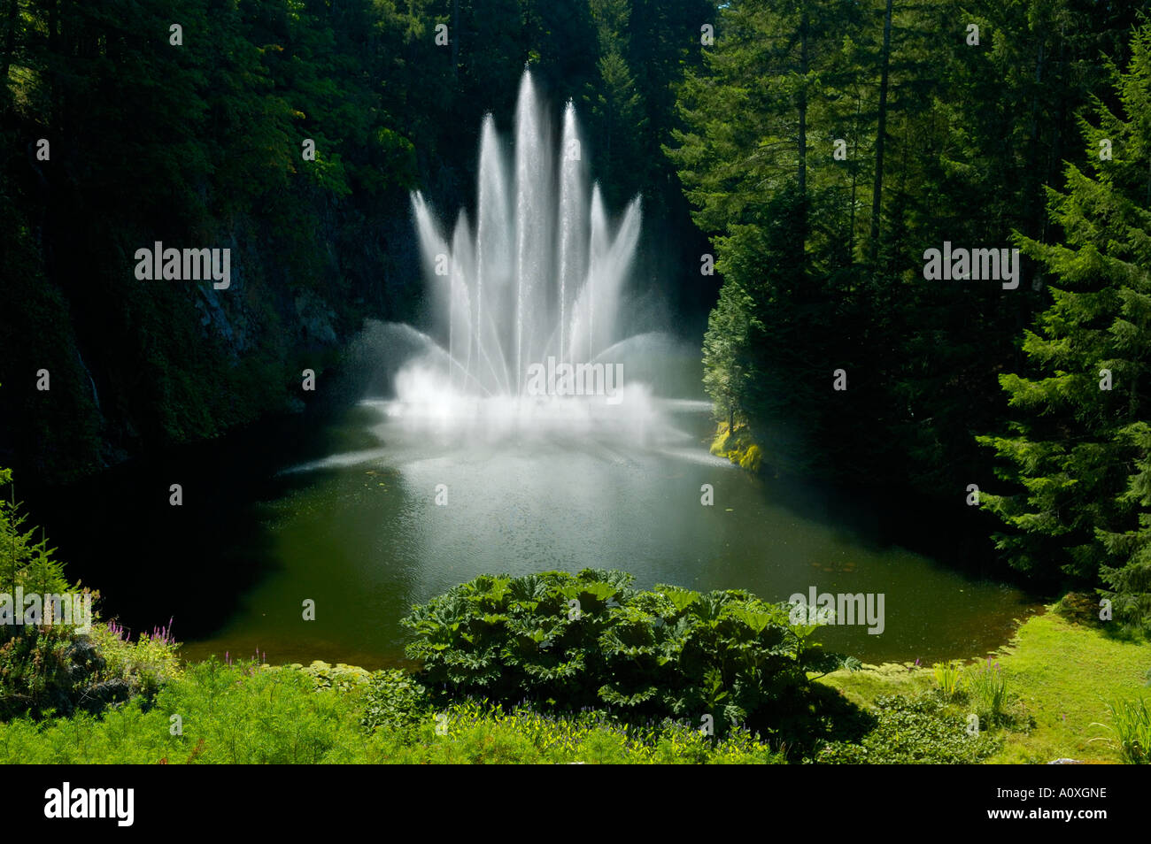 The Ross Fountain Butchart Gardens Stock Photos & The Ross Fountain ...