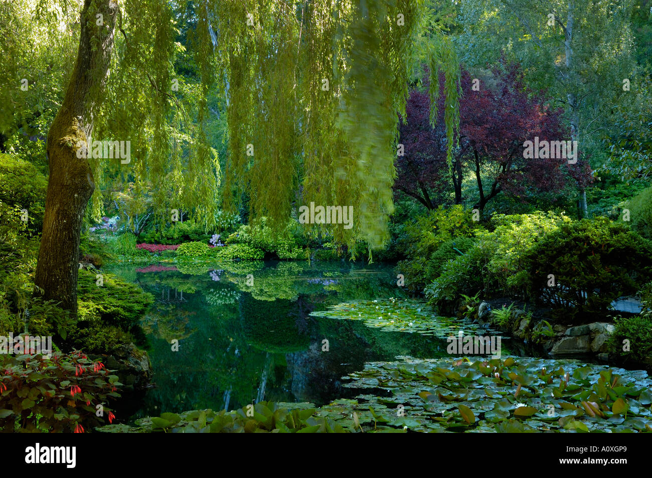 Sunken garden pond hi-res stock photography and images - Alamy