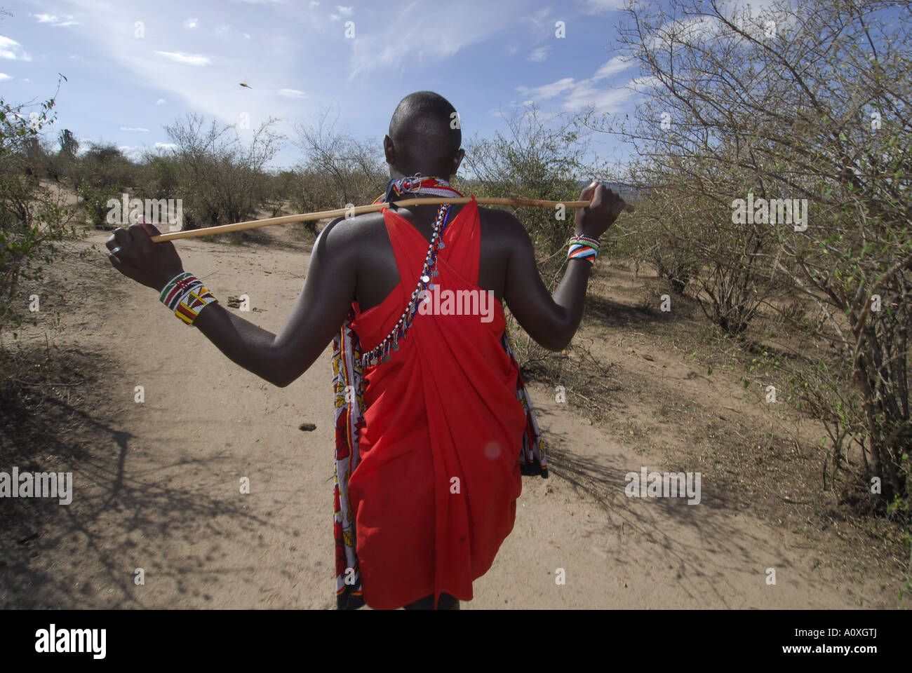 Masai Mara tribe around the Masai Mara National Park Kenya East Africa ...