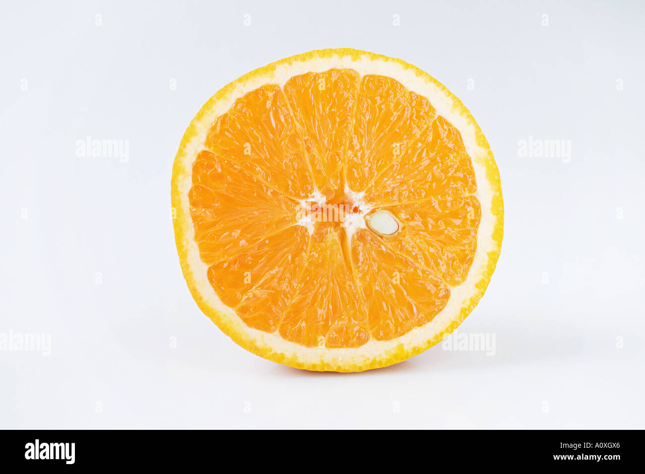 Half rounded shape hi-res stock photography and images - Alamy