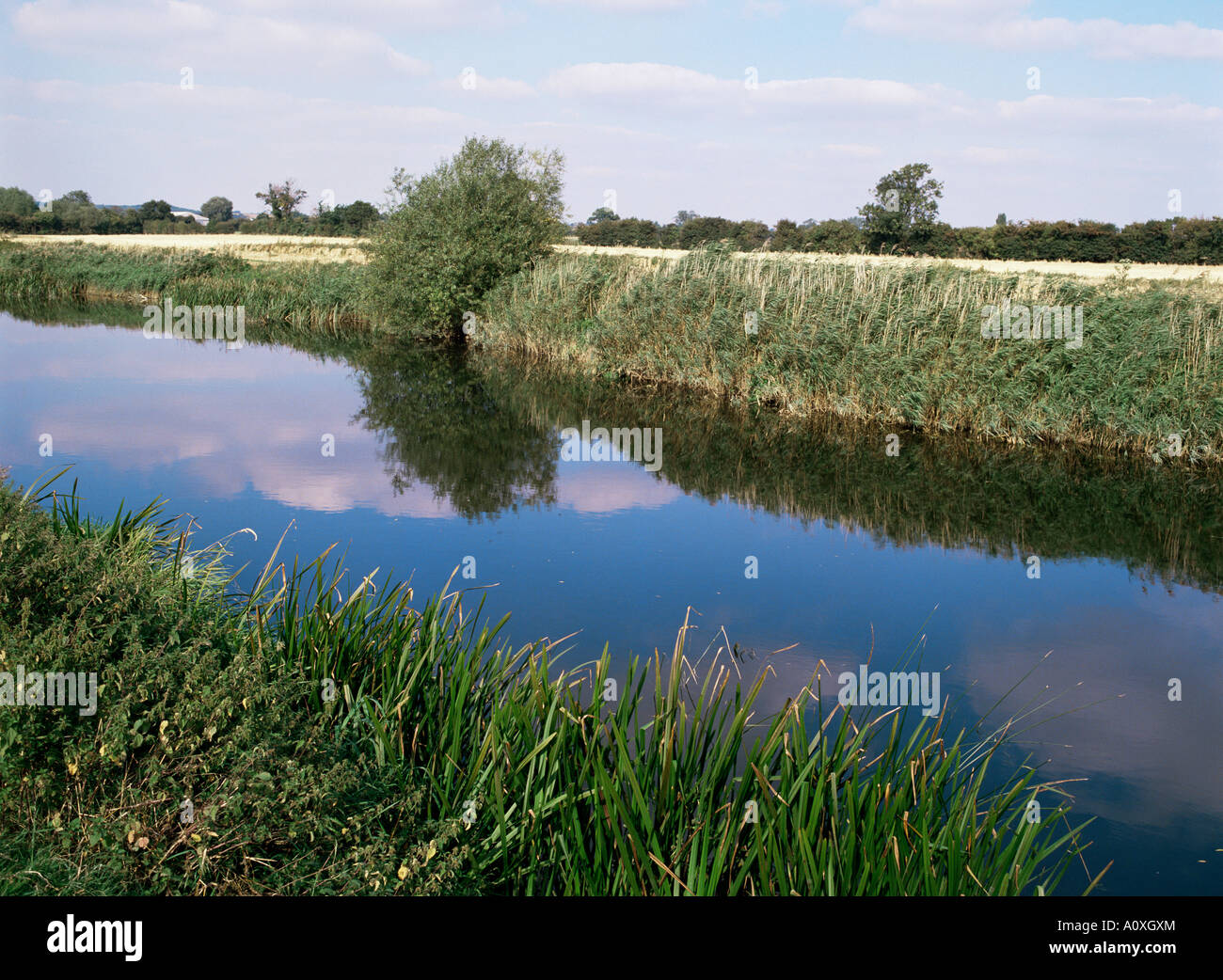 Great Ouse River near Bletsoe Bedfordshire England United Kingdom ...