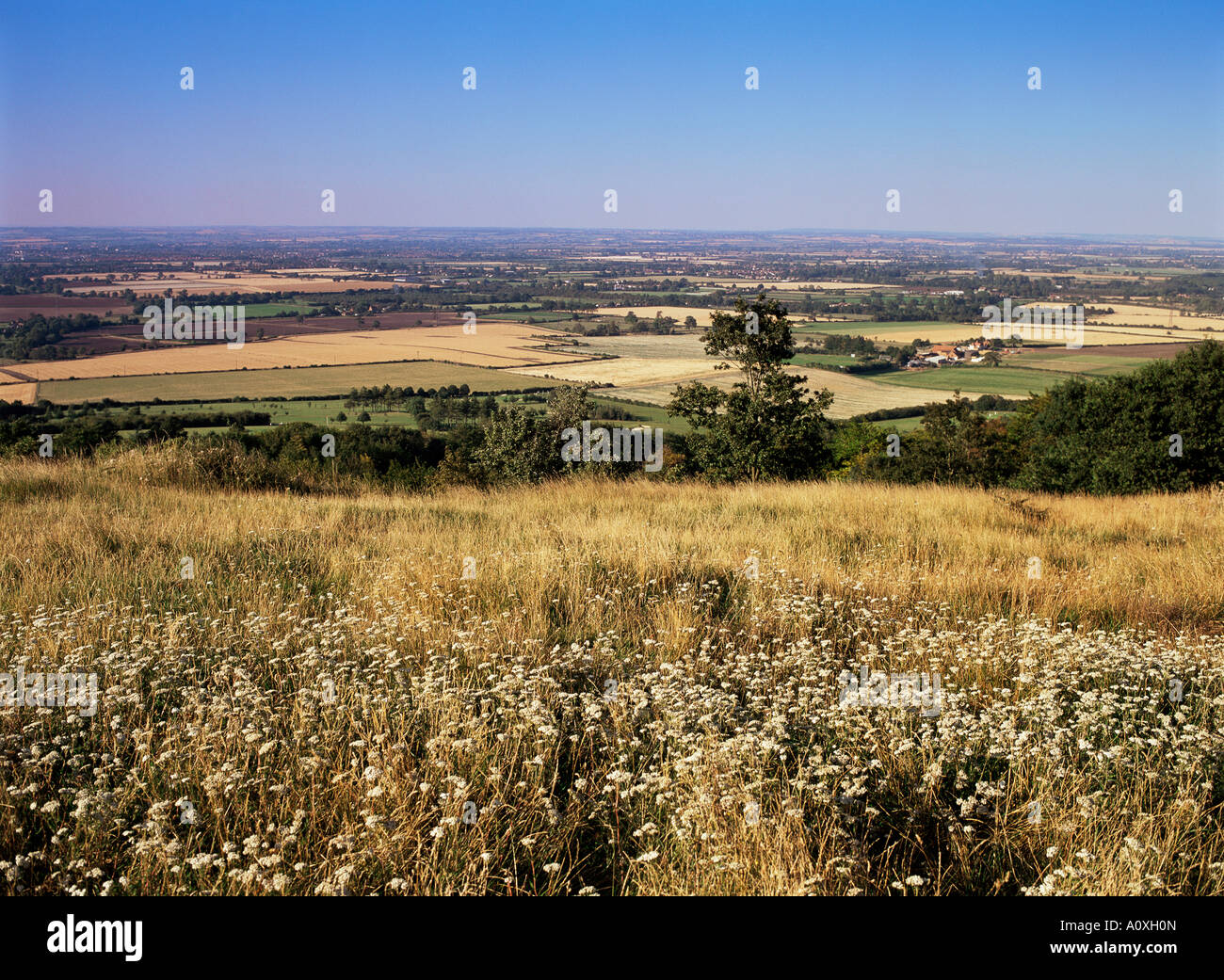 Aylesbury buckinghamshire hi-res stock photography and images - Alamy