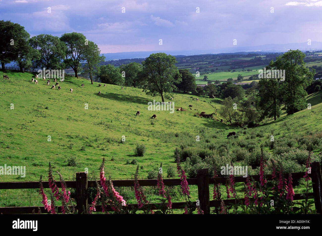 Waseley hill country park hi-res stock photography and images - Alamy