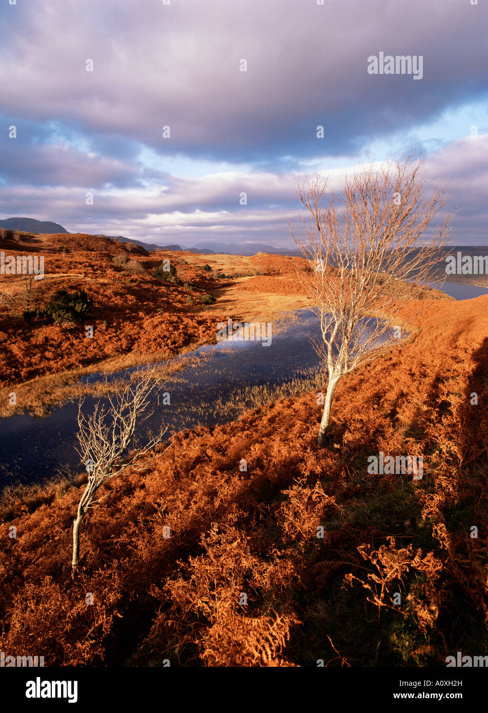 Torver back hi-res stock photography and images - Alamy