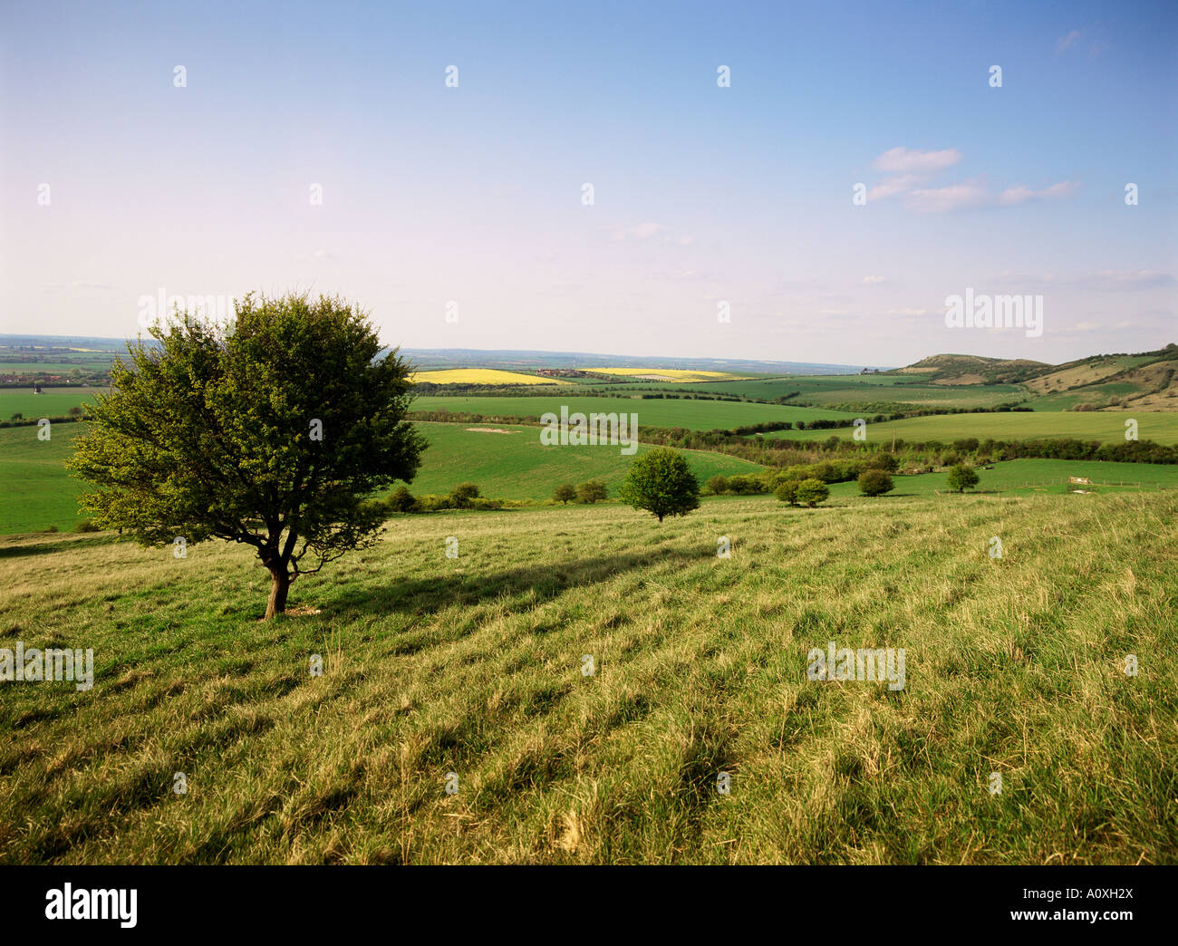 Ivinghoe Beacon from the Ridgeway Path Chiltern Hills Buckinghamshire ...