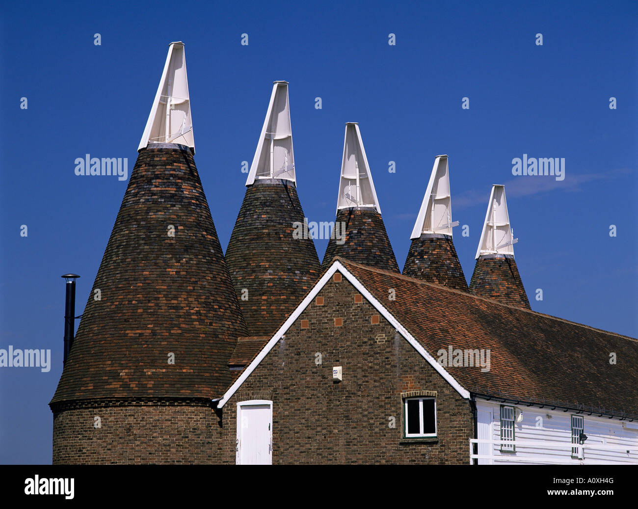Hop farm england hi-res stock photography and images - Alamy