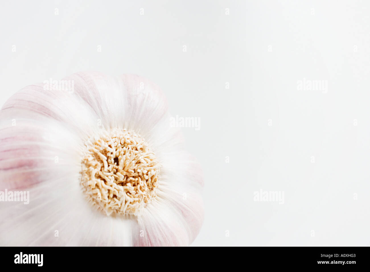 One clove of garlic Stock Photo - Alamy