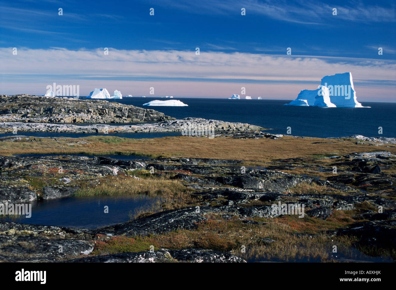 Shore platform with autumn tundra Qeqertarsuaq Godhavn Disko Bay Island ...