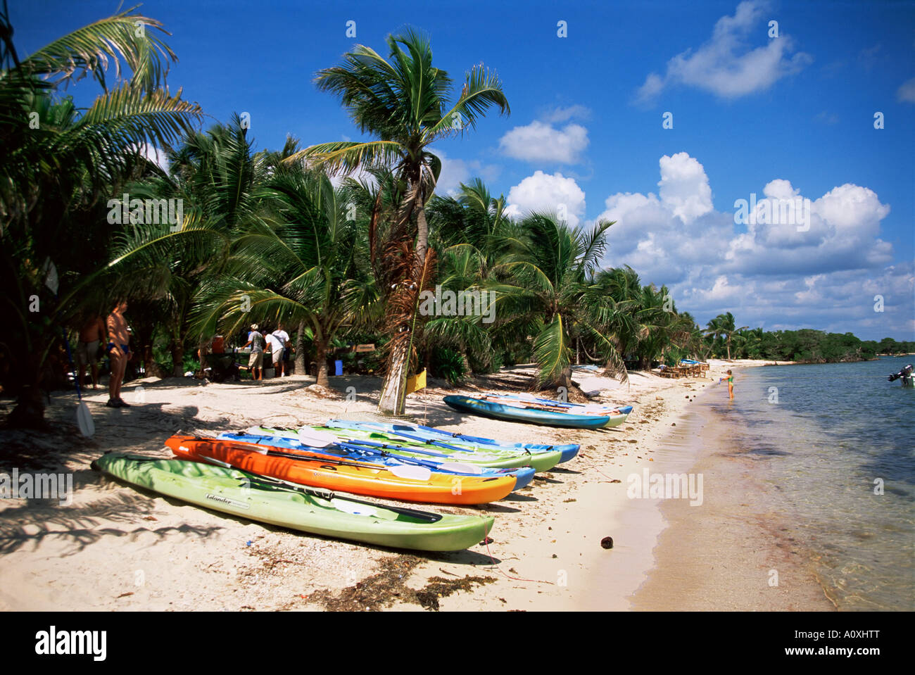 Beach with palm trees and kayaks Punta Soliman Mayan Riviera Yucatan ...