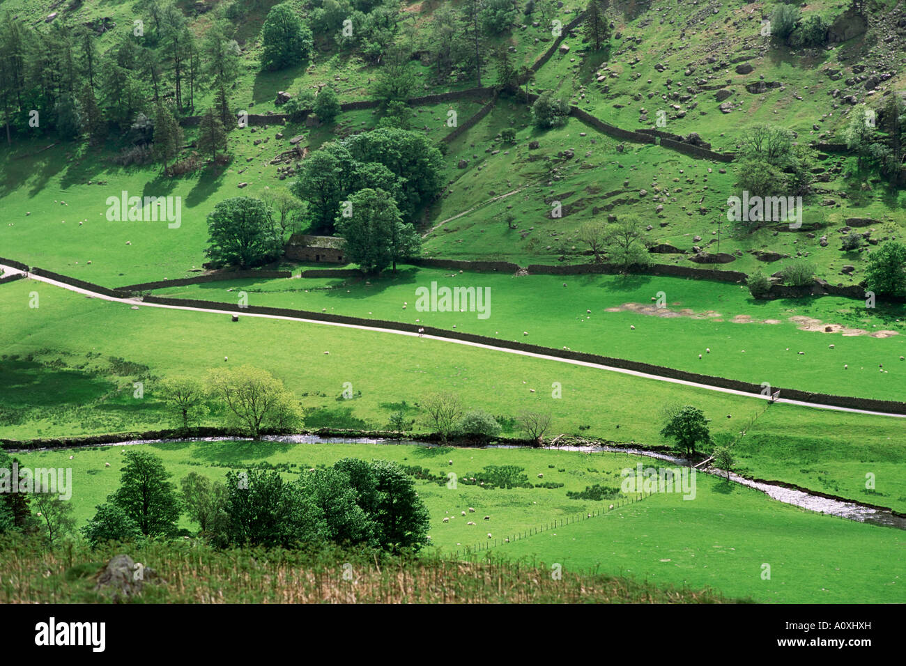 Grisedale Beck Lake District Cumbria England United Kingdom Europe ...