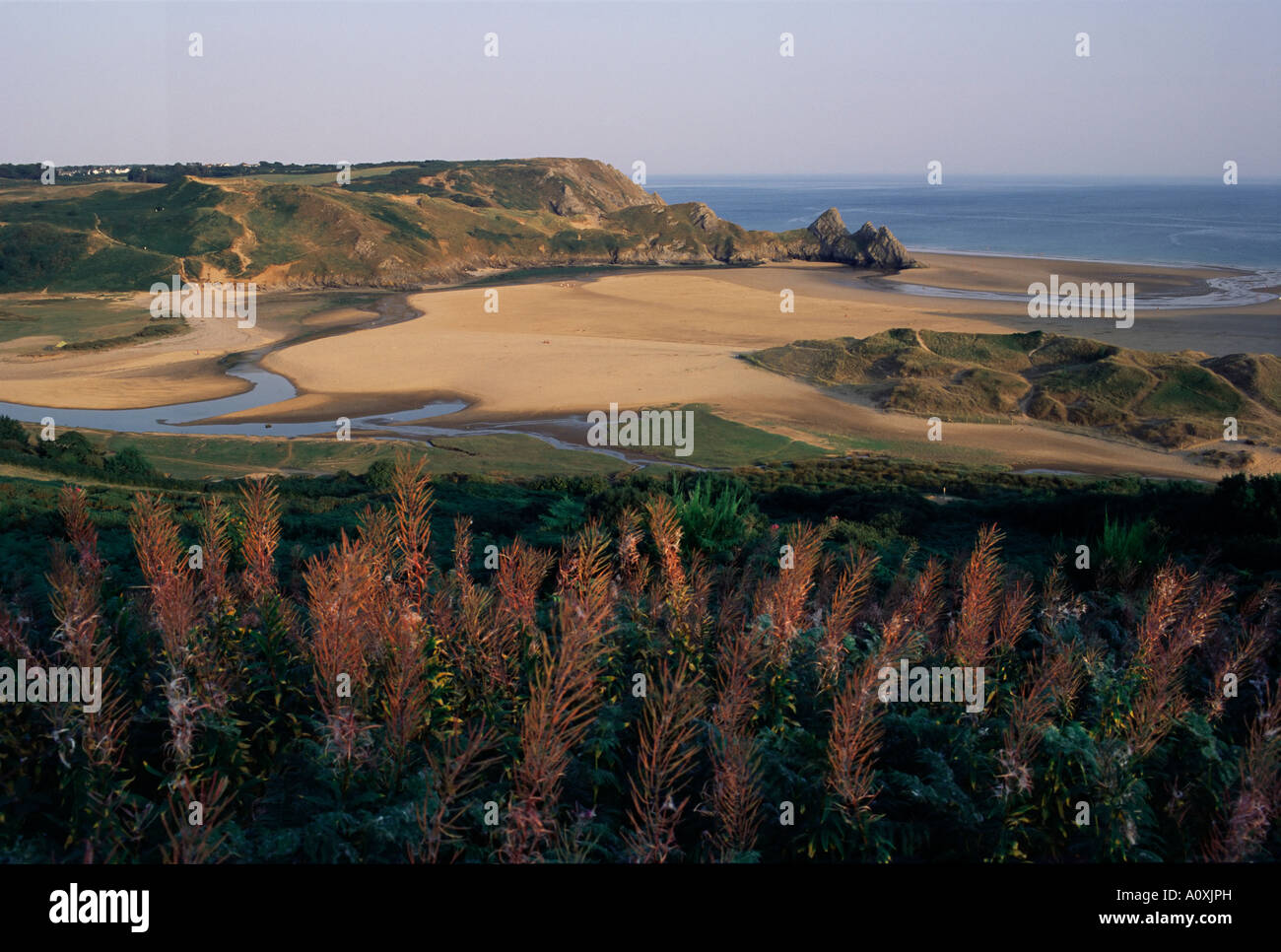Oxwich Bay Gower Peninsula West Glamorgan Wales United Kingdom Europe ...