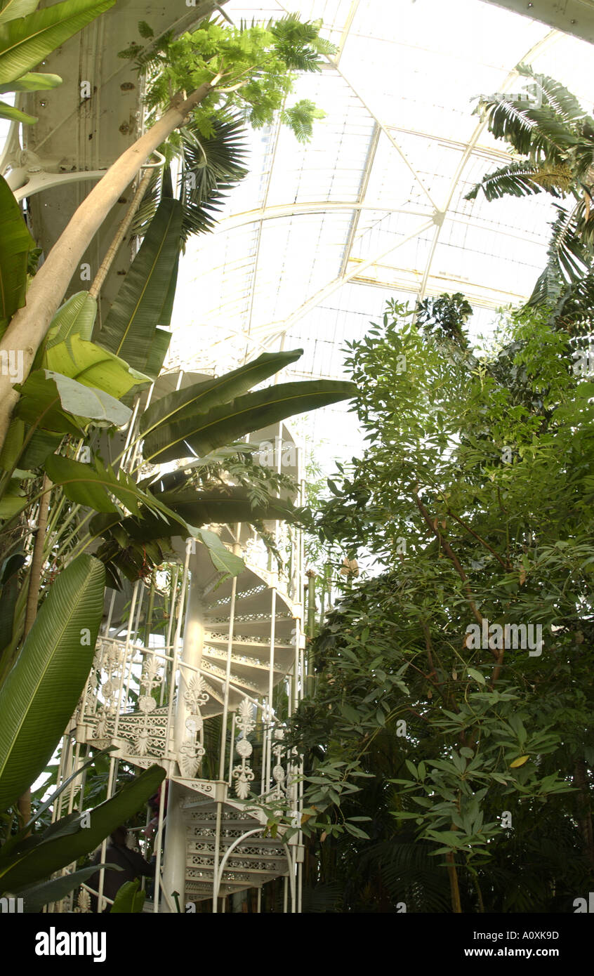 Palm House Royal Botanic Gardens Kew London Stock Photo - Alamy