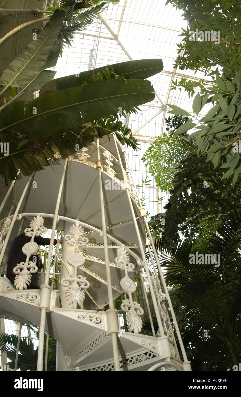Palm House Royal Botanic Gardens Kew London Stock Photo - Alamy