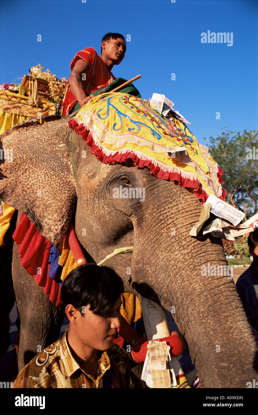 Elephant in religious procession near Mawlamyine Myanmar Burma Asia ...