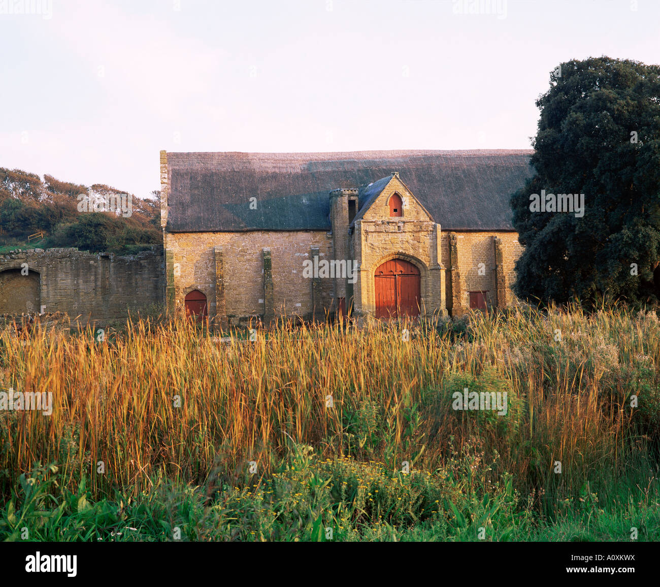 Tithe barn Abbotsbury Dorset England United Kingdom Europe Stock Photo ...