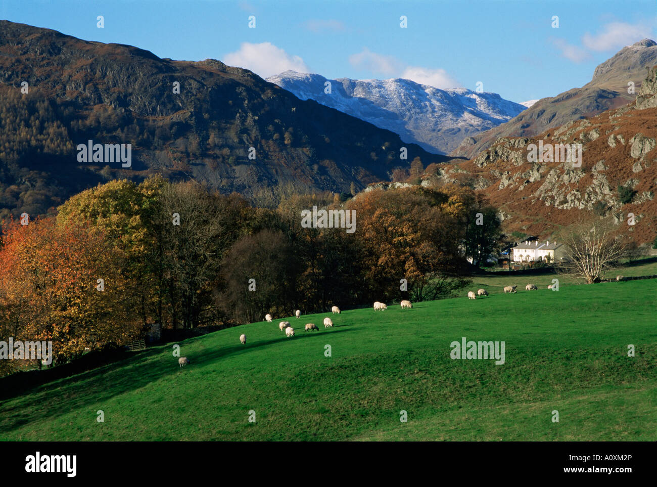 Chapel Stile Great Langdale Lake District National Park Cumbria England ...