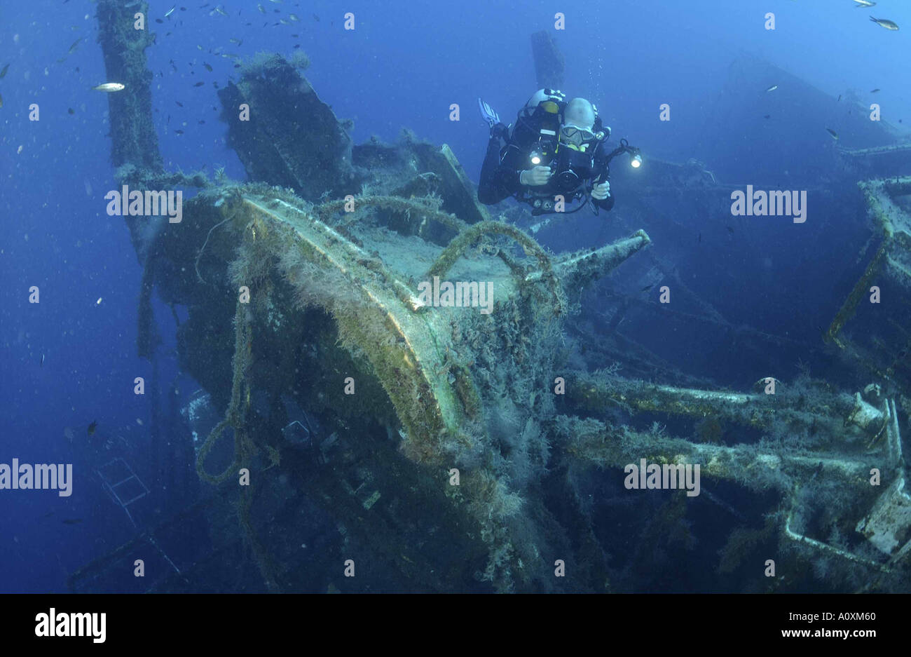 Zenobia hi-res stock photography and images - Alamy